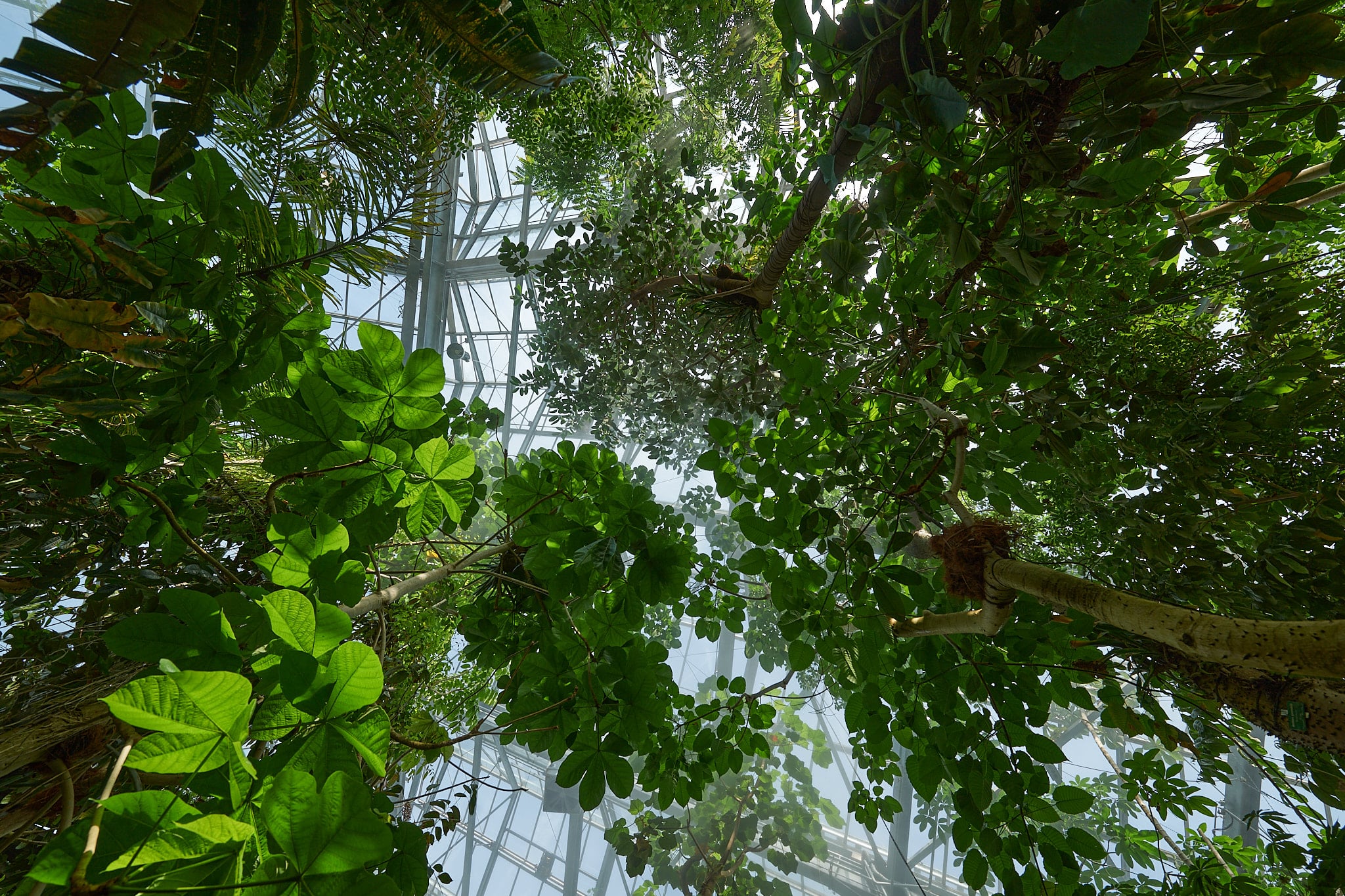 Botanischer Garten: ein Stück Weltflora in der Friedensstadt (mit ...
