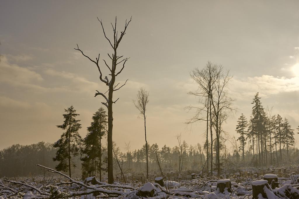 Montagsfoto in der OR: „Kalt“ | 2023 © Manfred Pollert - Osnabrücker ...