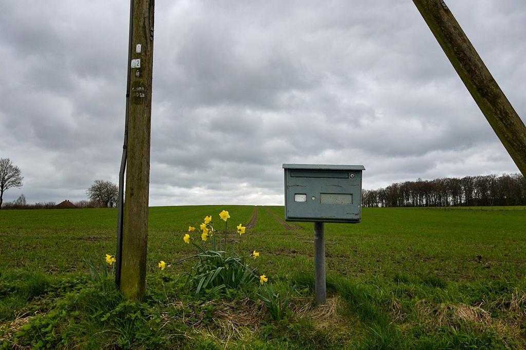 Montagsfoto in der OR: „Frühling“ | 2024 © Manfred Pollert ...